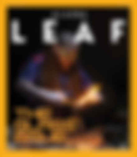 Northeast Leaf - Leaf Nation