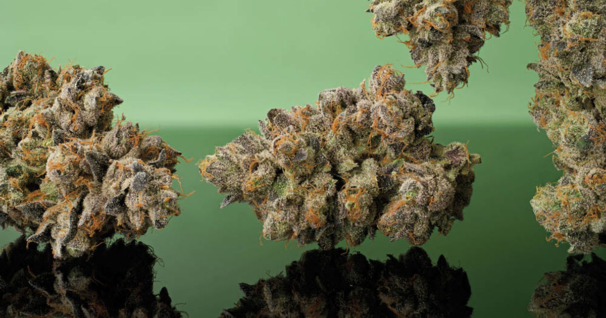 Toad Venom - Leaf Nation