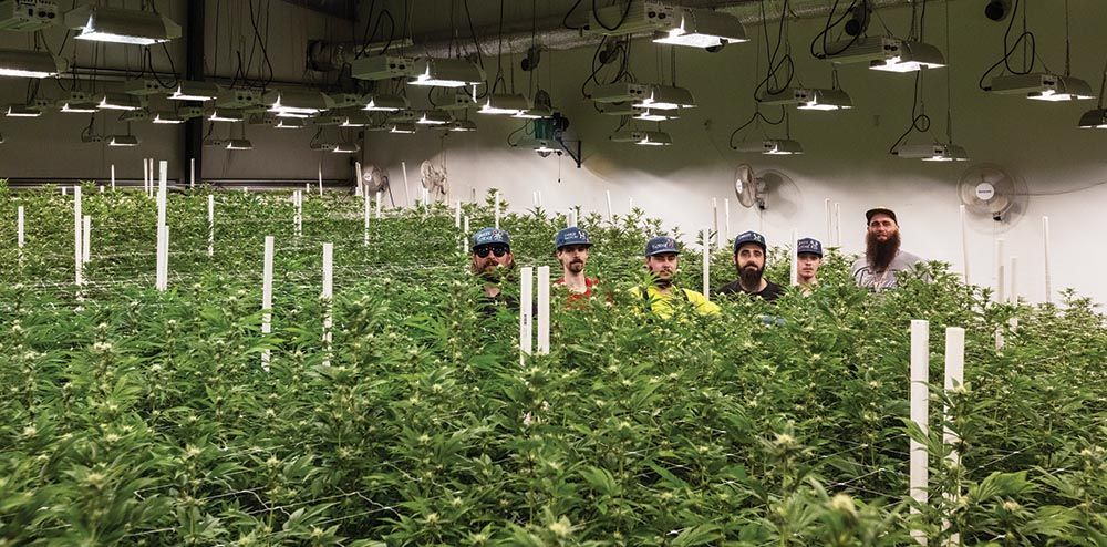 Touring the Cheeze Factory - Leaf Nation