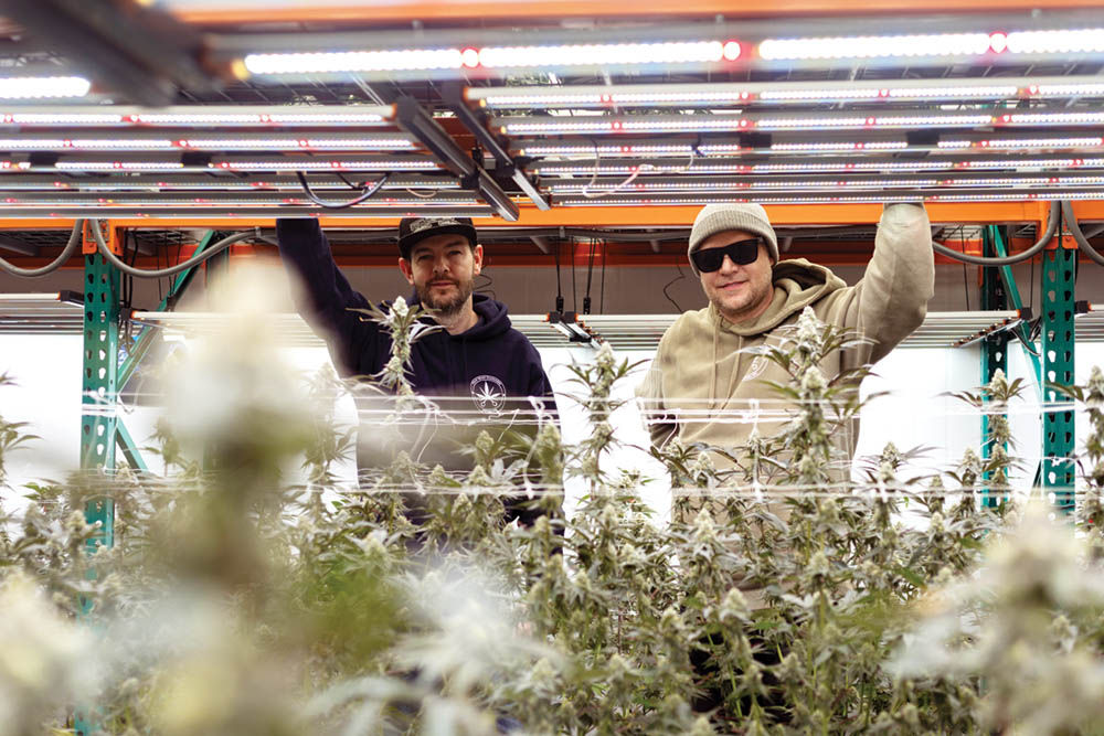 Grow Tour: The Crop Shop - Leaf Nation