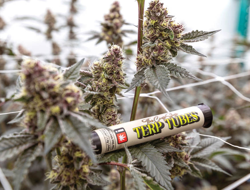 Grow Tour: The Crop Shop - Leaf Nation