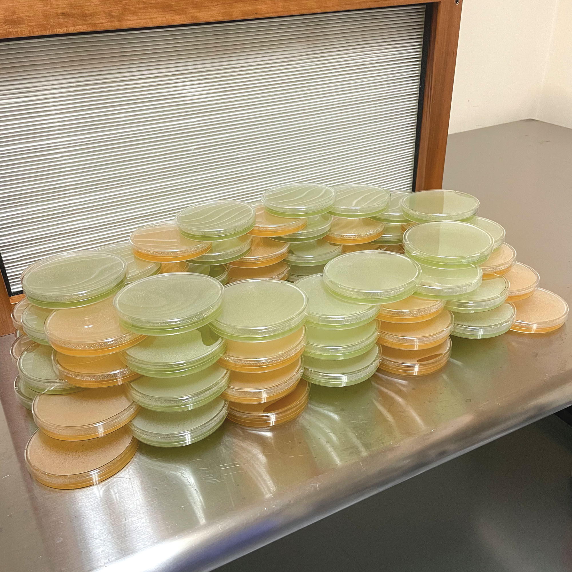 Bearing Sacred Fruits - Leaf Nation