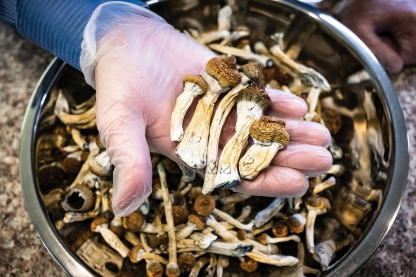 The Cannabis Church: Zide Door - Leaf Nation