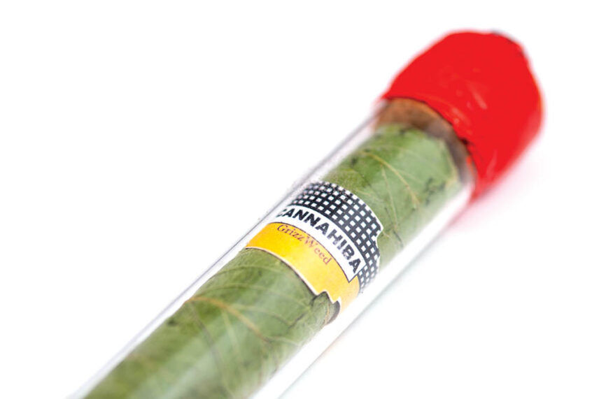 Cannahiba - Leaf Nation