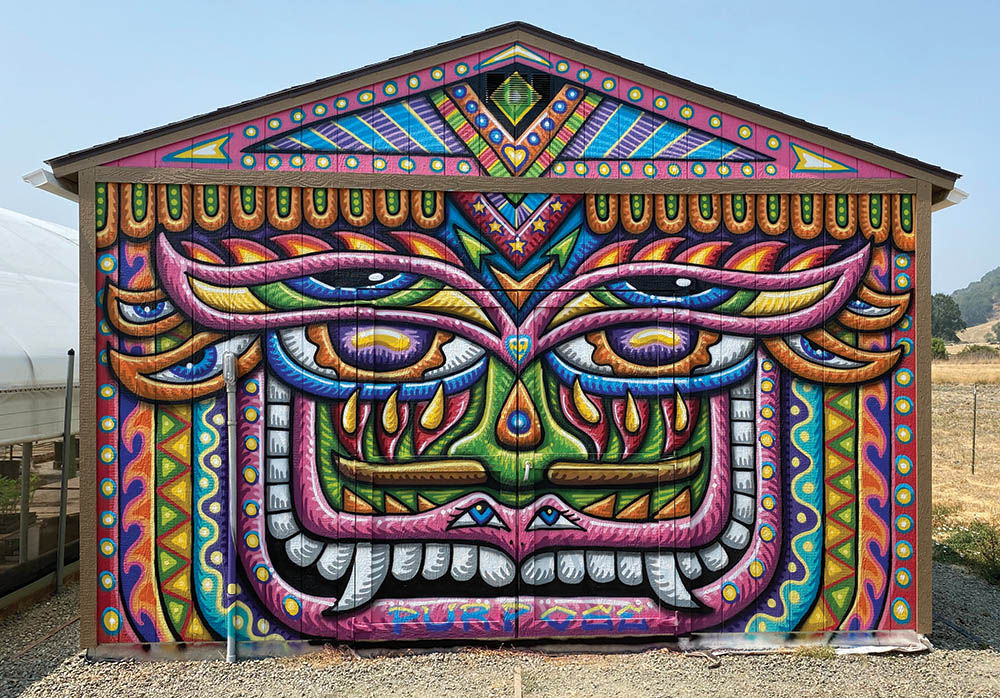 Interdimensional Visionary: A Psychedelic Interview with Chris Dyer ...