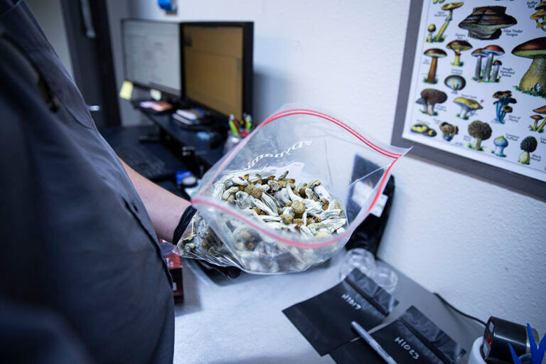 Under The Microscope: Psilocybin Mushroom Testing at Rose City Labs ...