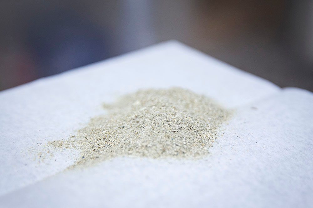 Under The Microscope: Psilocybin Mushroom Testing at Rose City Labs ...