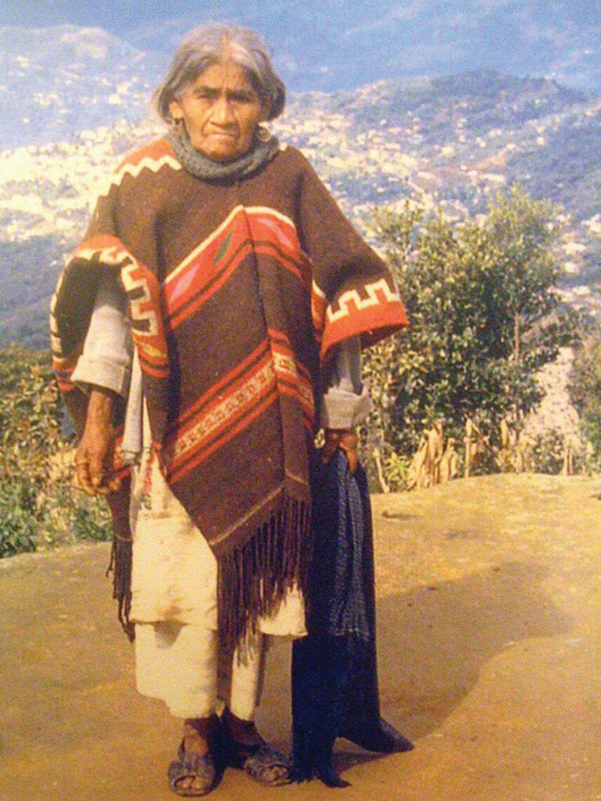 The Icons of Psychedelia - Leaf Nation