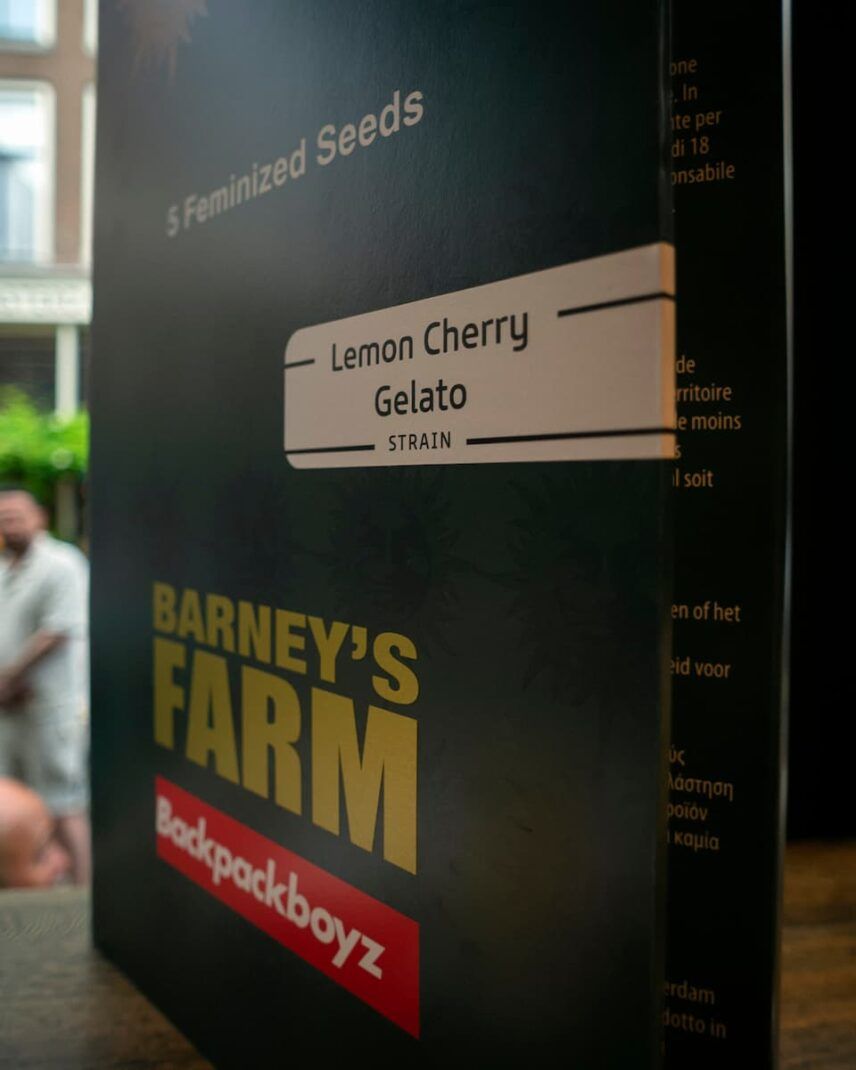 Barney's Farm & Backpack Boyz Team Up For Seed Release - Leaf Nation