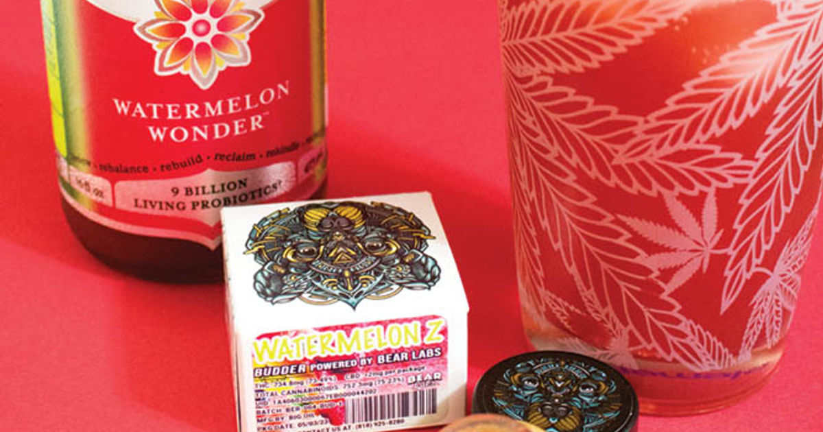 Pairing: GT’s Watermelon Wonder Kombucha x Bear Labs Watermelon Z Live ...