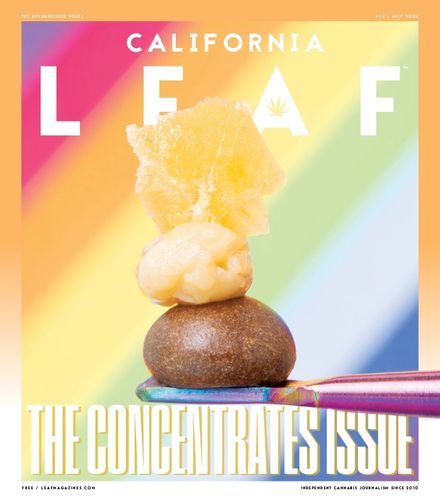 Leaf Lifes Archive - Leaf Nation