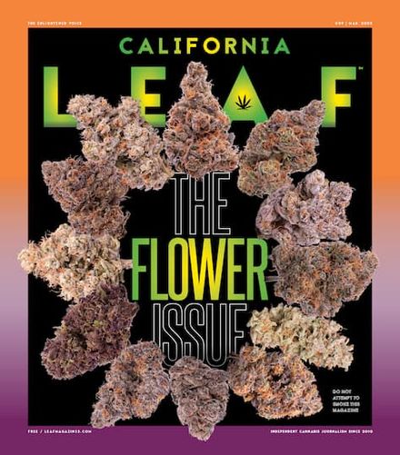 Northwest Leaf - Leaf Nation