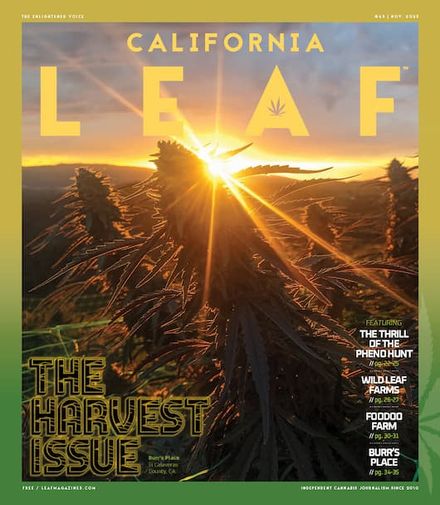 California Leaf - Leaf Nation