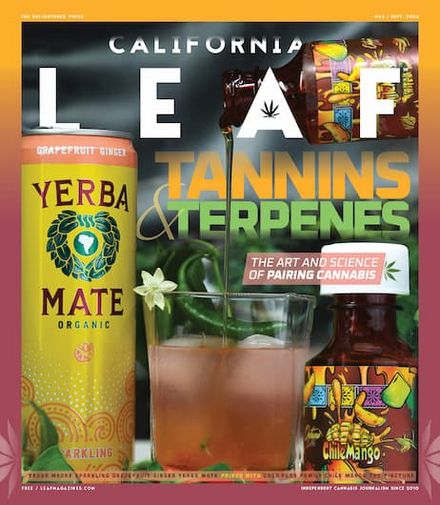 Northeast Leaf - Leaf Nation