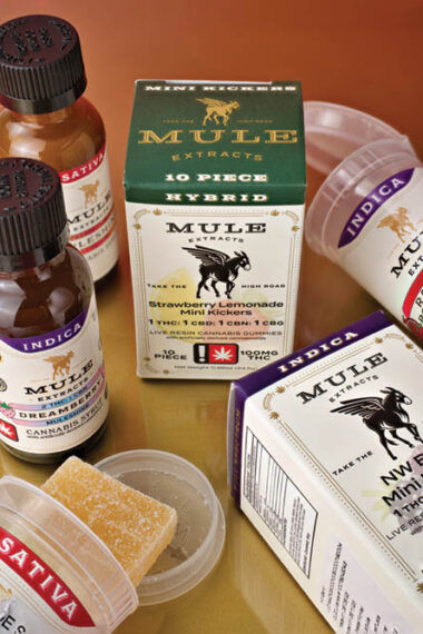 2023 Oregon Edibles Special - Leaf Nation