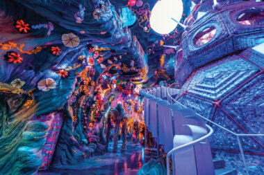 The Adventures of Meow Wolf - Leaf Nation