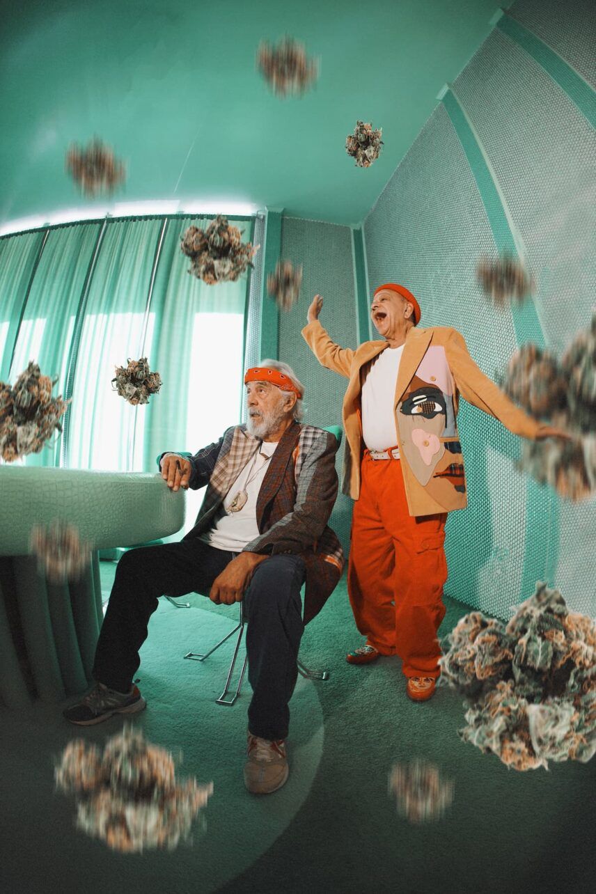 Still Smokin’ - The Rebirth of Cheech and Chong - Leaf Nation