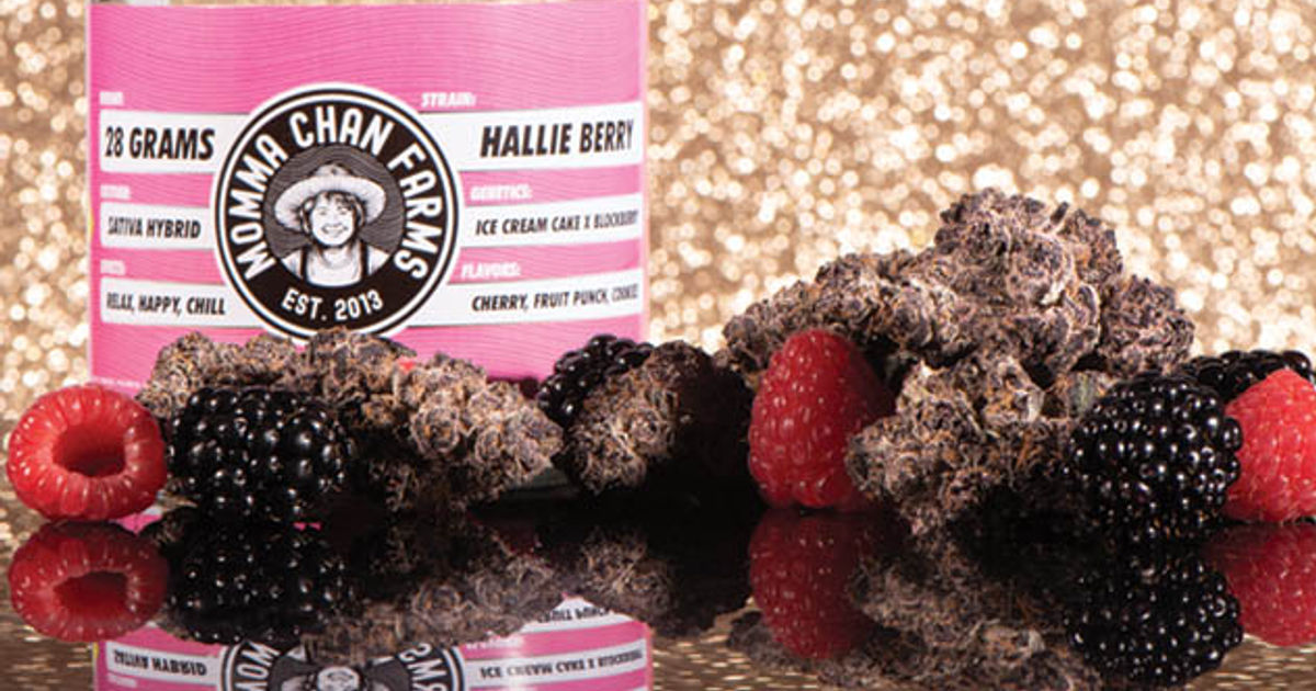 Hallie Berry - Leaf Nation