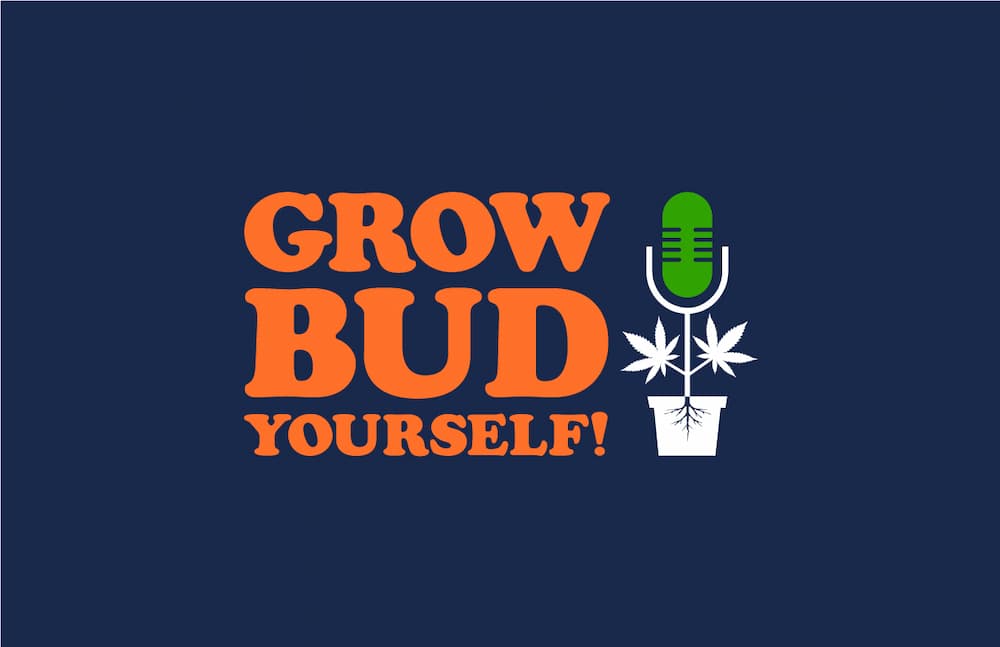 High Frequencies: Pot Podcast Roundup - Leaf Nation