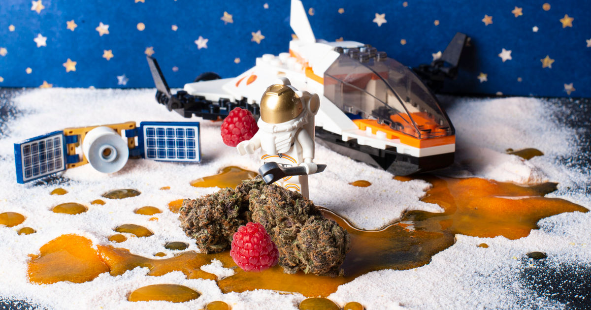 Raspberry Kush and Tang - Leaf Nation