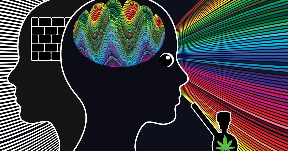 Cannabis and Creativity - Working With Weed - Leaf Nation