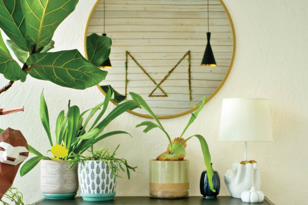 Shop Review: Moss Crossing - Leaf Nation