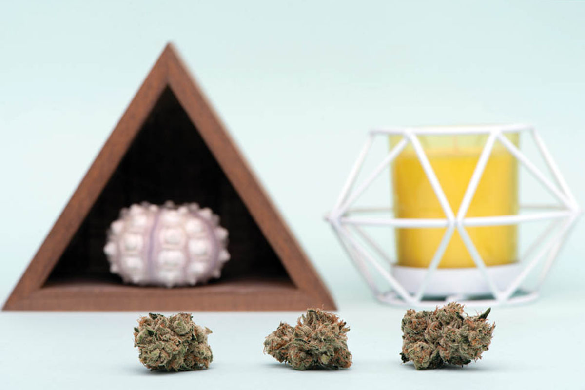 Mega Wellness OG - Leaf Nation