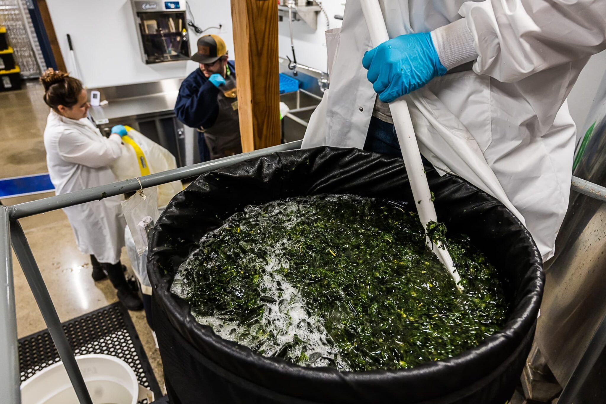 Spreading the Gospel of Hashish - Leaf Nation