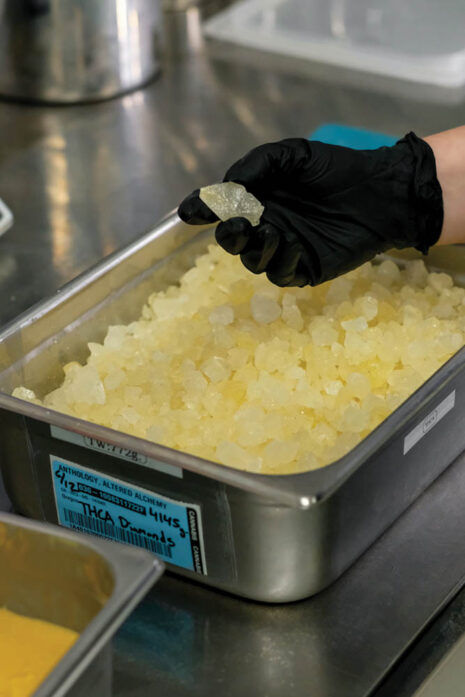 Lab Tour: Inside Altered Alchemy - Leaf Nation