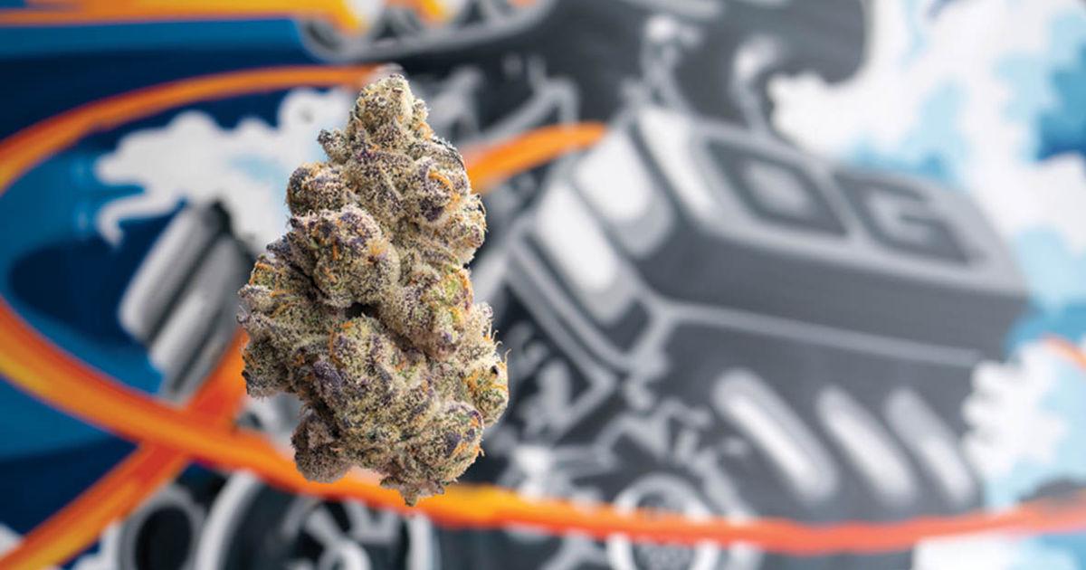 Motor OG - Leaf Nation