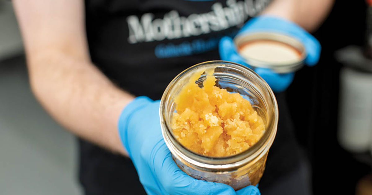 Grow Tour: Fire Bros. - Leaf Nation