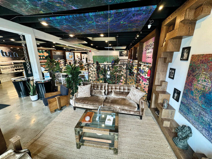 Shop Review: Erba Venice - Leaf Nation