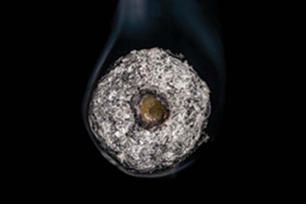 The 2024 Impact List - Leaf Nation