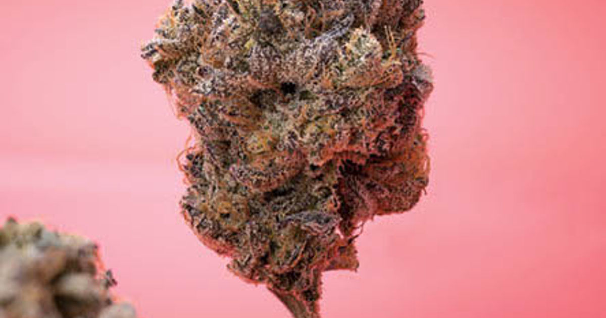 Goji OG - Leaf Nation