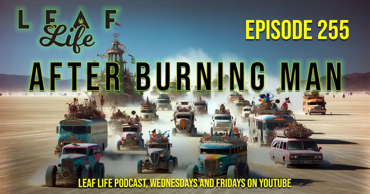 Show #255 - After Burning Man - Leaf Nation