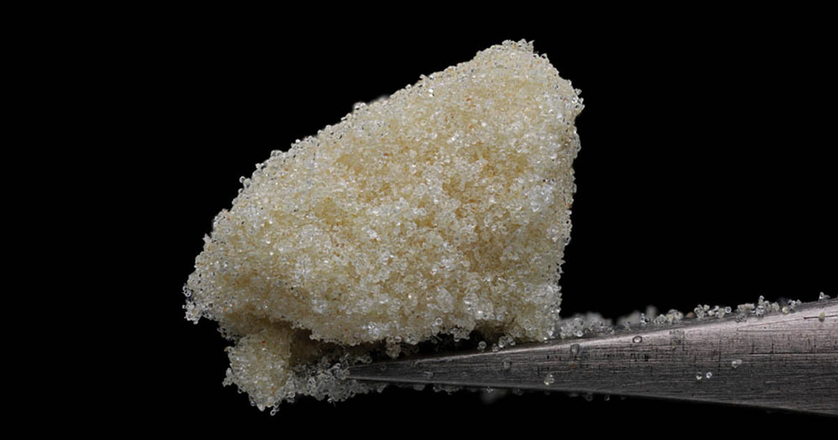 Breeding for Hash - Leaf Nation