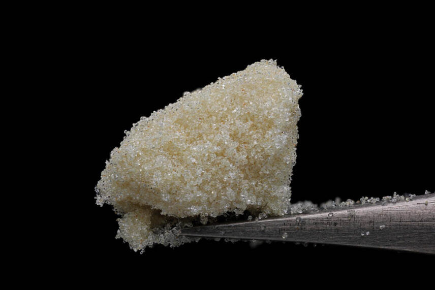 Breeding for Hash - Leaf Nation