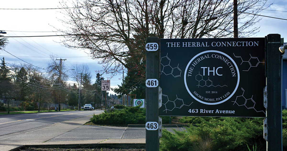 Shop Review: The Herbal Connection - Leaf Nation