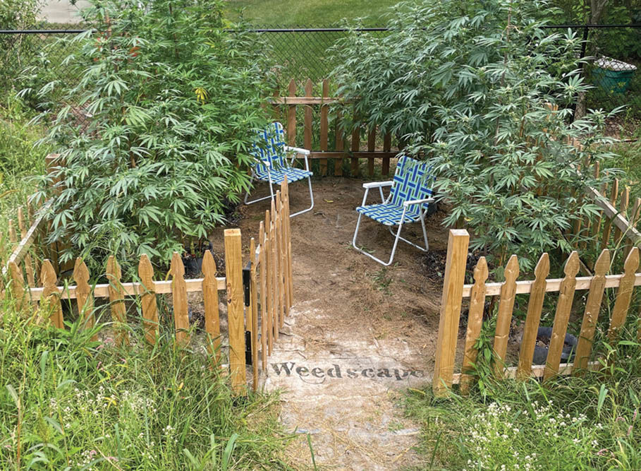 Company Profile: Weedscape - Leaf Nation