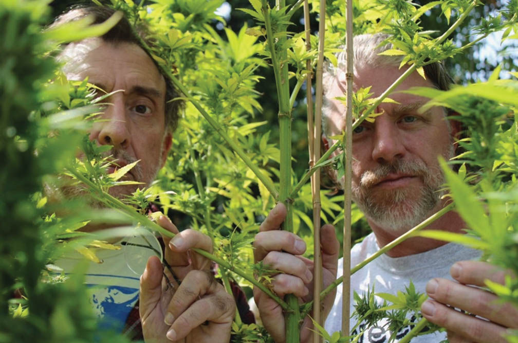 Company Profile: Weedscape - Leaf Nation