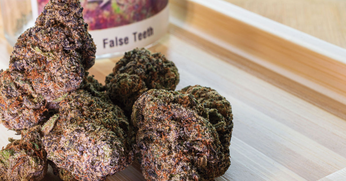 False Teeth - Leaf Nation