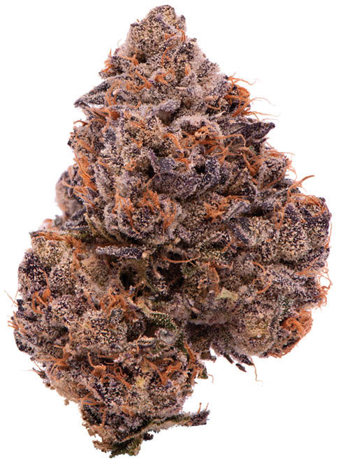 California Leaf 2025 Flower Roundup - Leaf Nation