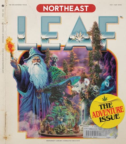 Leaf Picks - Leaf Nation