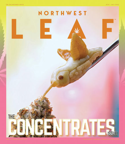 Leaf Nation - Independent Cannabis Journalism Since 2010