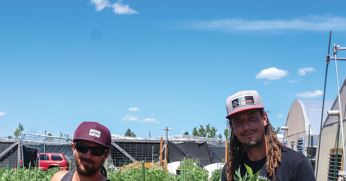 Bodhi High Wants to Awaken Your Senses - Leaf Nation