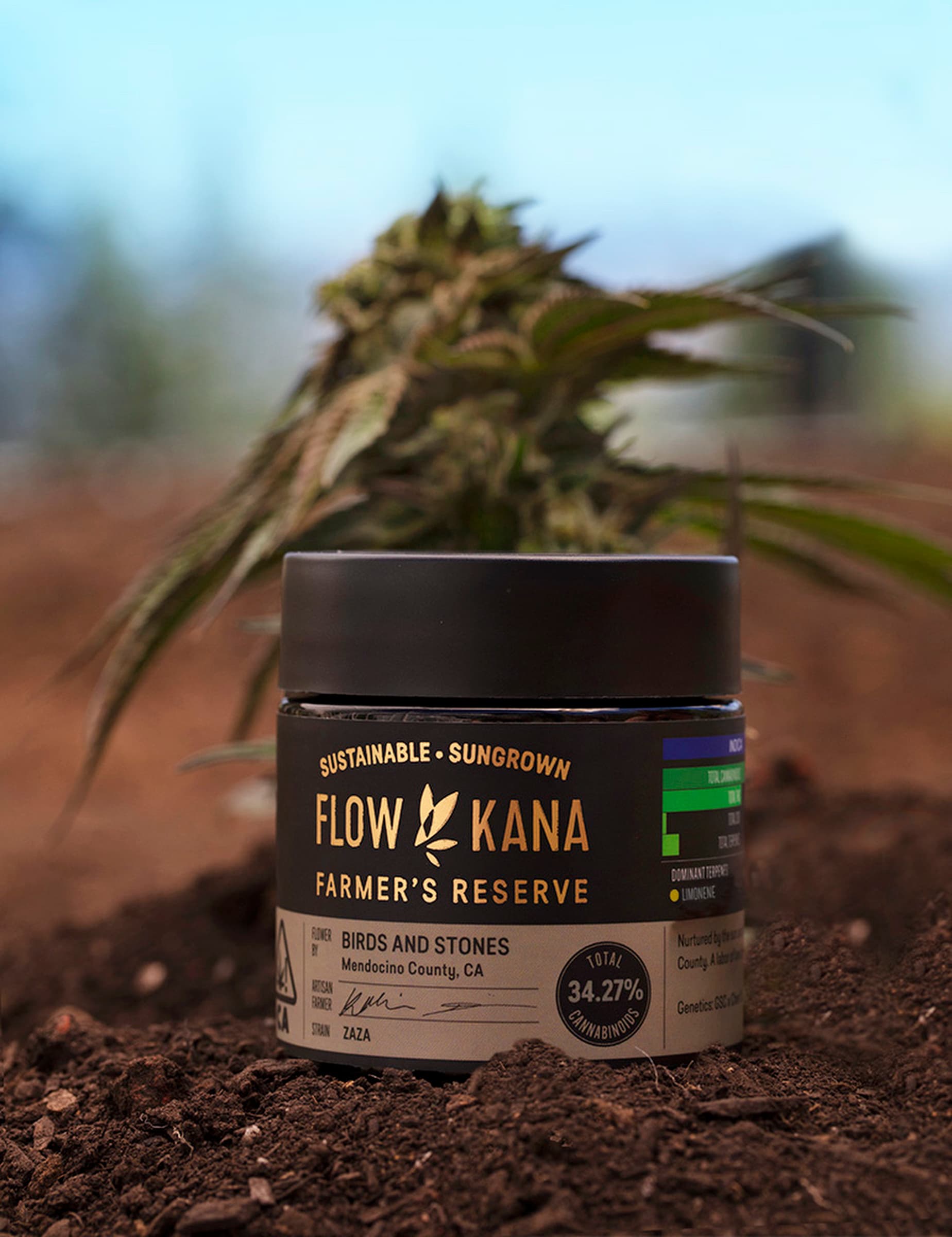 Flow Cannabis' Role in Establishing Cannatourism in California - Leaf ...