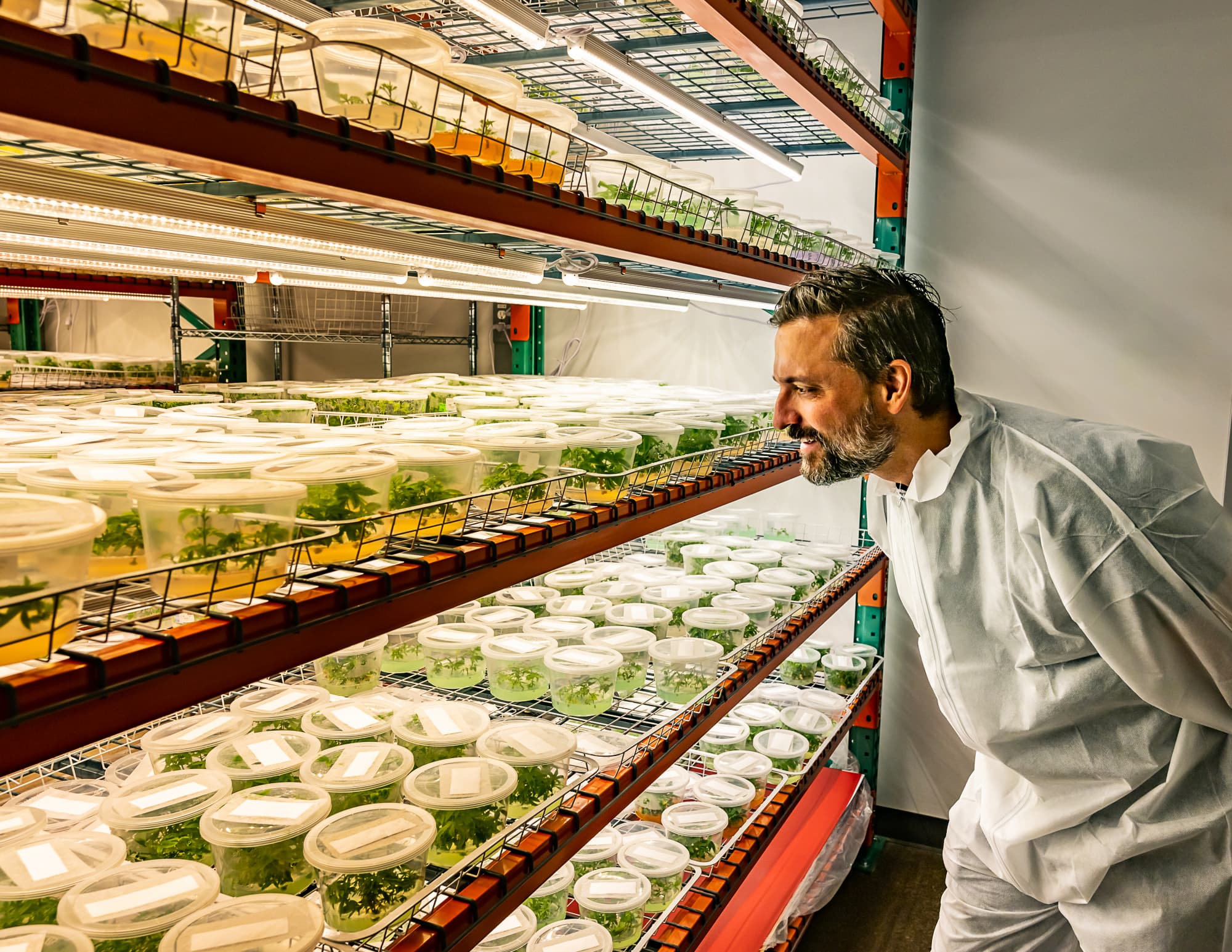 The Phoundation of Phinest Cannabis - Leaf Nation