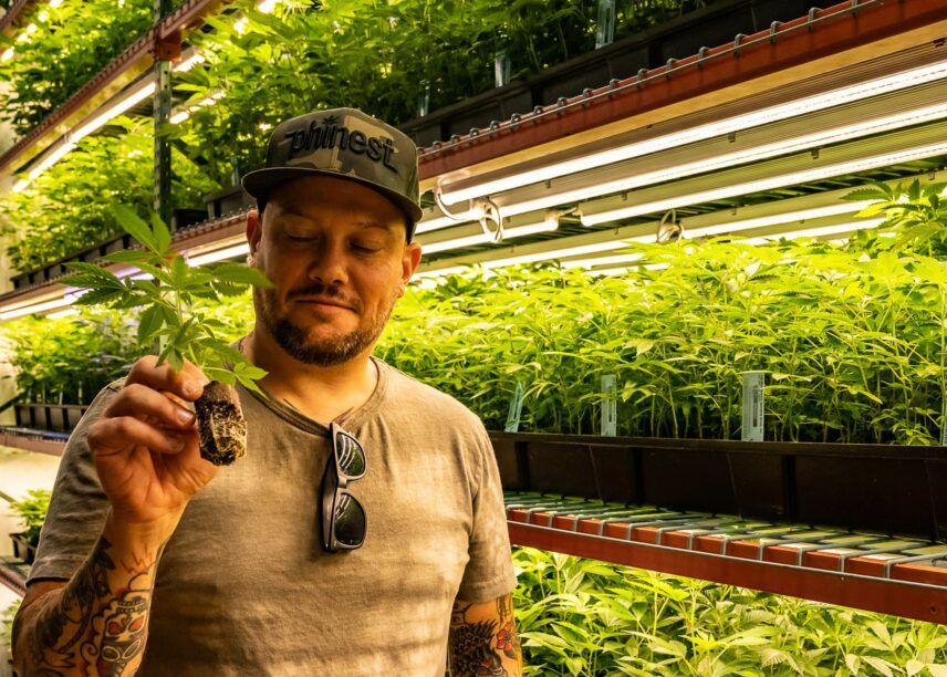 The Phoundation of Phinest Cannabis - Leaf Nation