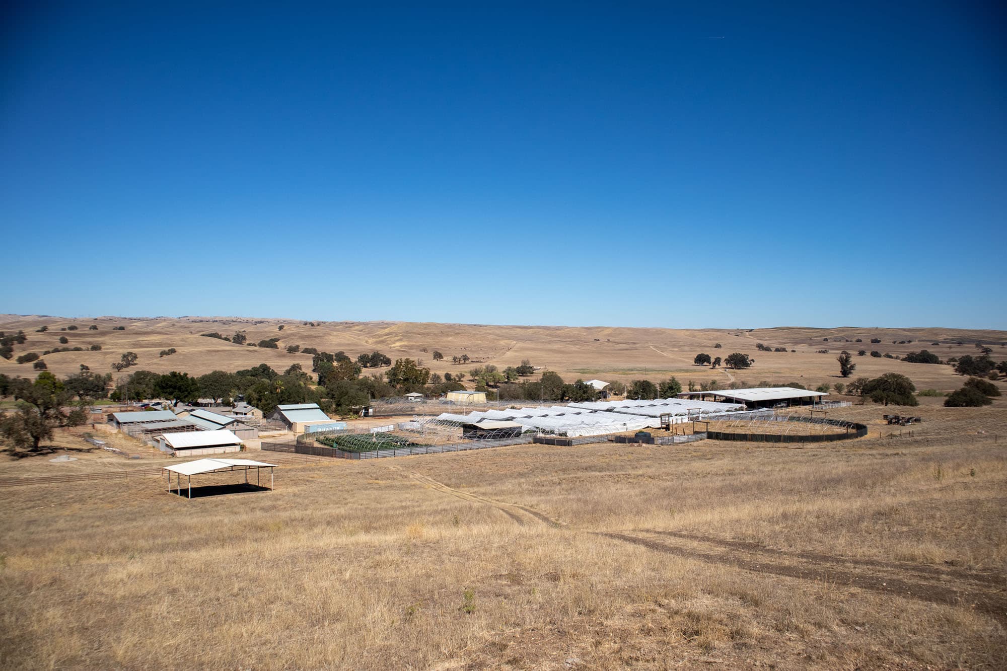 Estrella River Farms - Leaf Nation