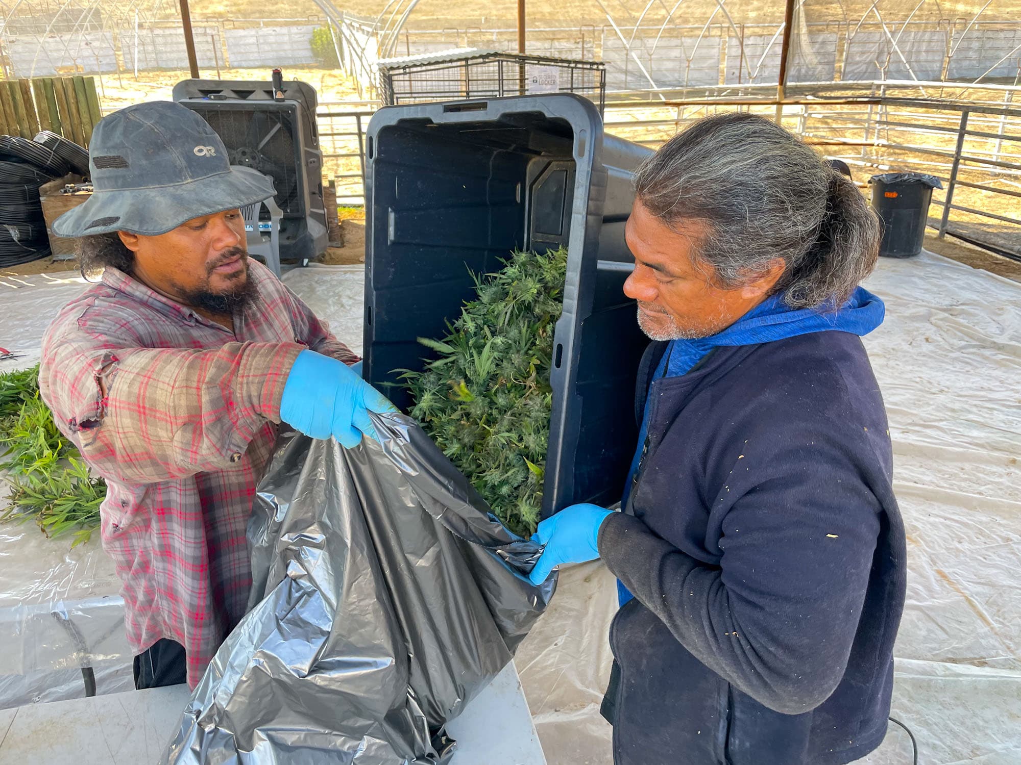 Estrella River Farms - Leaf Nation